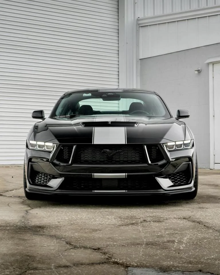 Custom Super Snake Vinyl Stripes Installed | Mustang7G - 2024+ S650 ...
