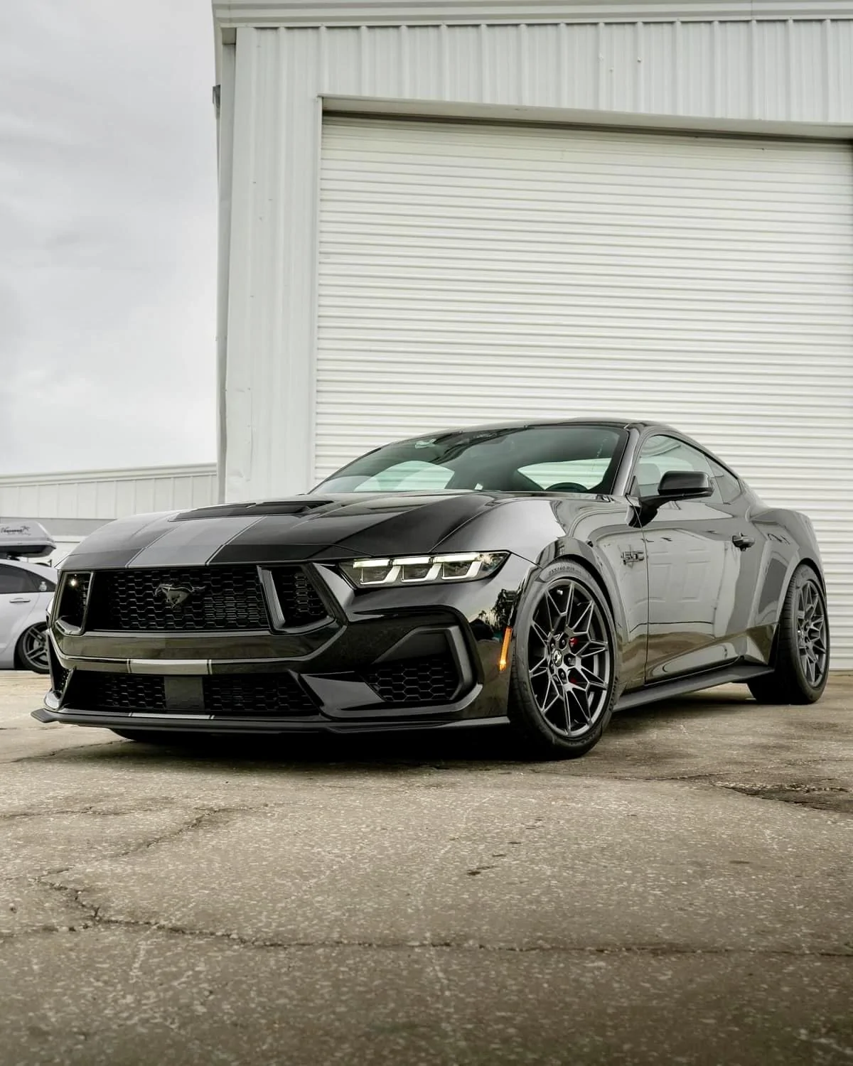 Custom Super Snake Vinyl Stripes Installed | Mustang7G - 2024+ S650 ...