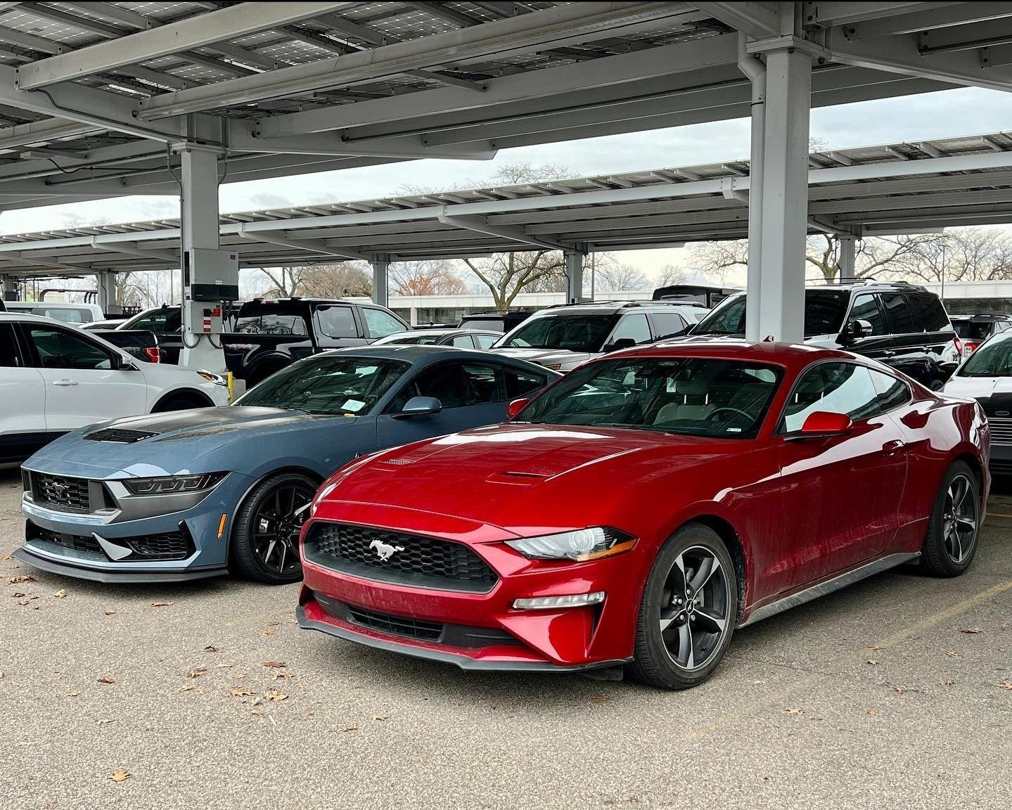 S650 Mustang Vs S550 Mustang Side by side Comparison Pics Thread