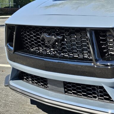 Area 51 vs Vapor blue metallic | Mustang7G - 2024+ S650 Mustang Forum ...