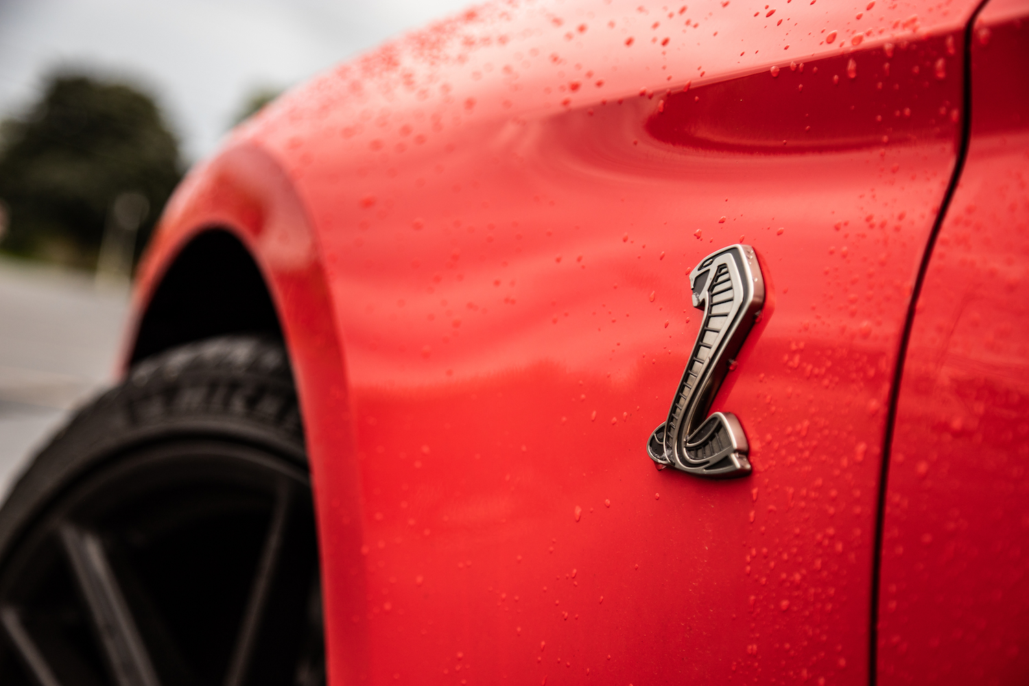 Shelby GT500 Fender Emblems GT500 Emblem Kit (2020), 55% OFF