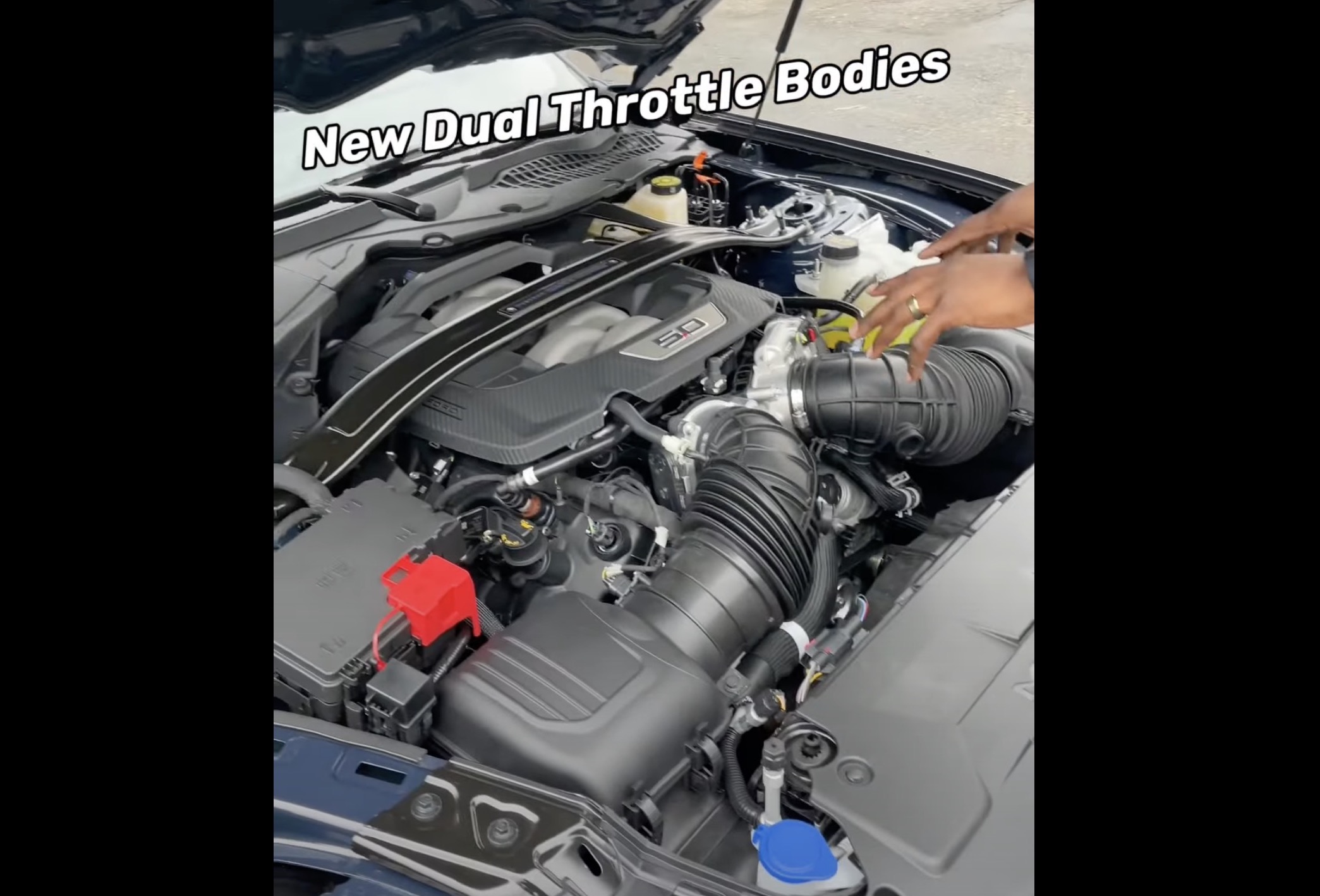 Dark Horse 5.0L engine video: opens air intake to show filter and air ...