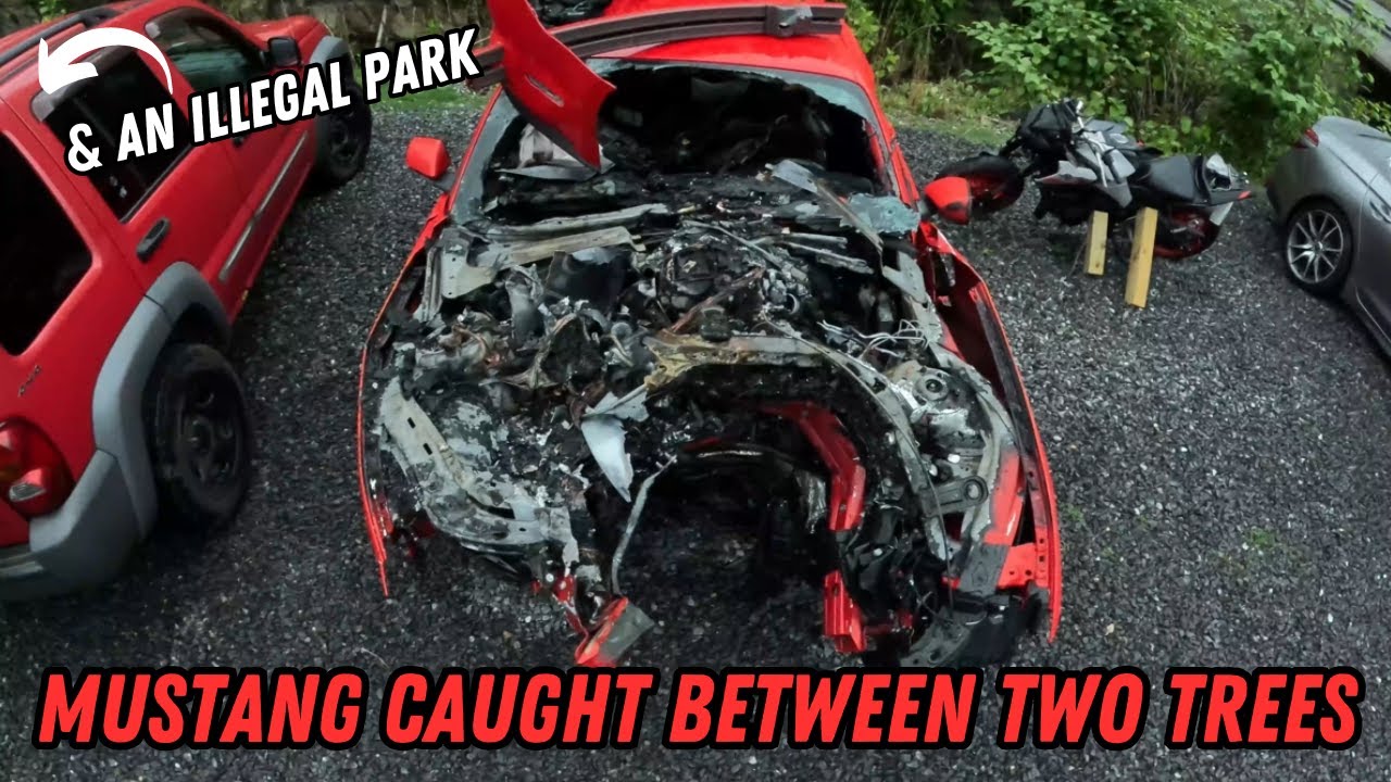 Devastating Mustang Crash in National Park | Mustang7G - 2024+ S650 ...