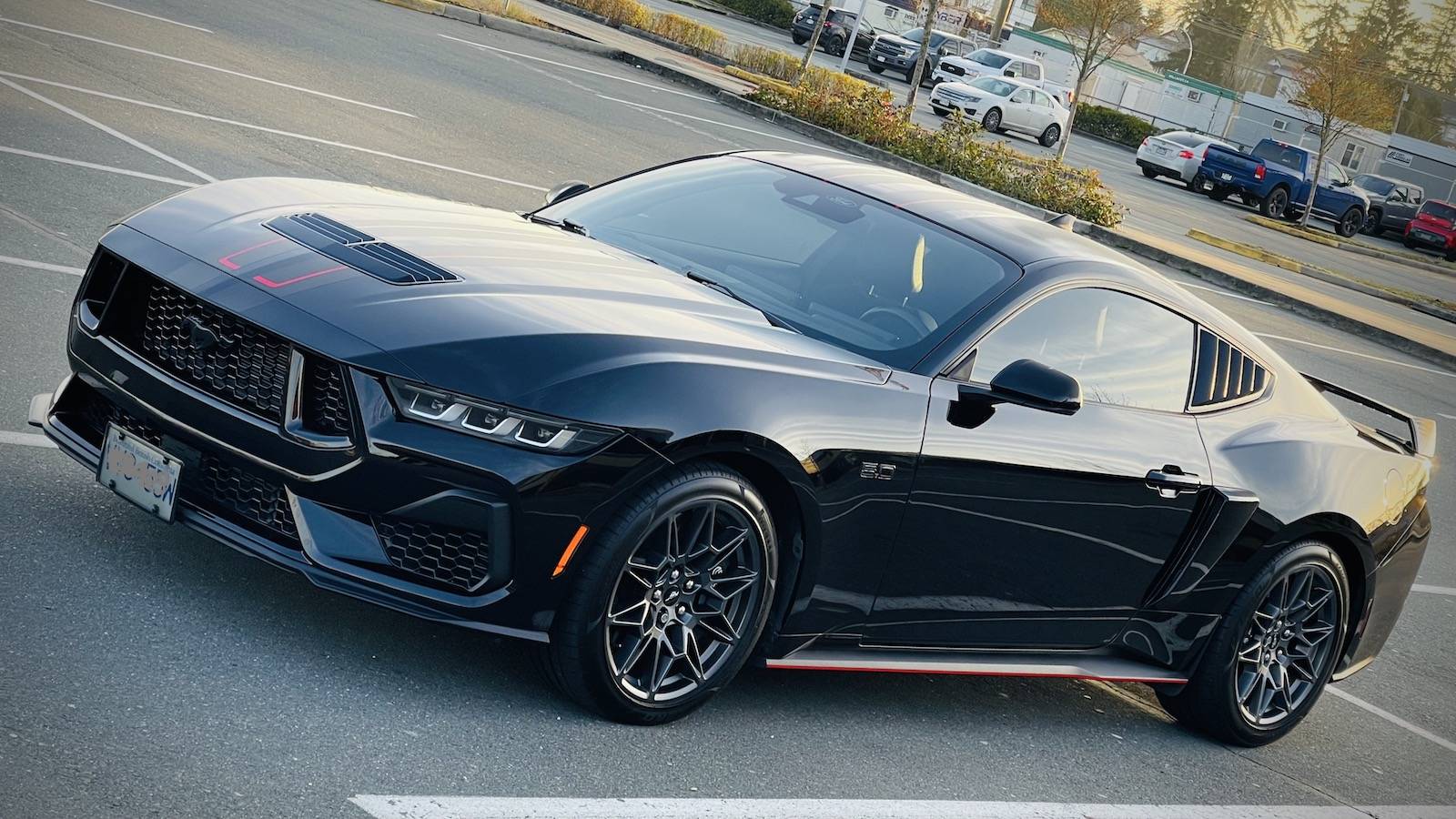 Side skirt pinstripes added; results are in, huge gains. | Mustang7G ...