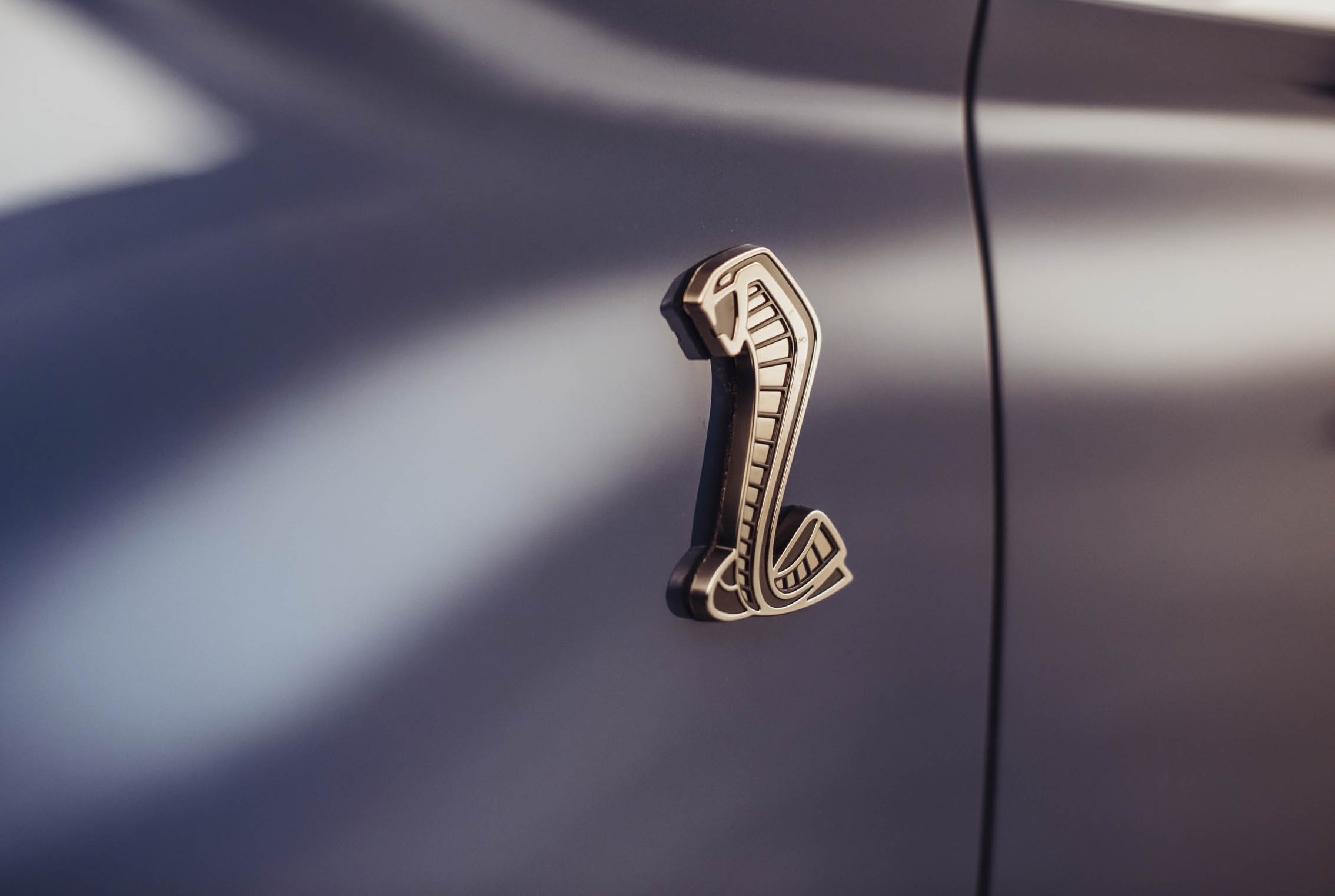 Ford to reveal all-new road-going race car on January 15... GT500 ...