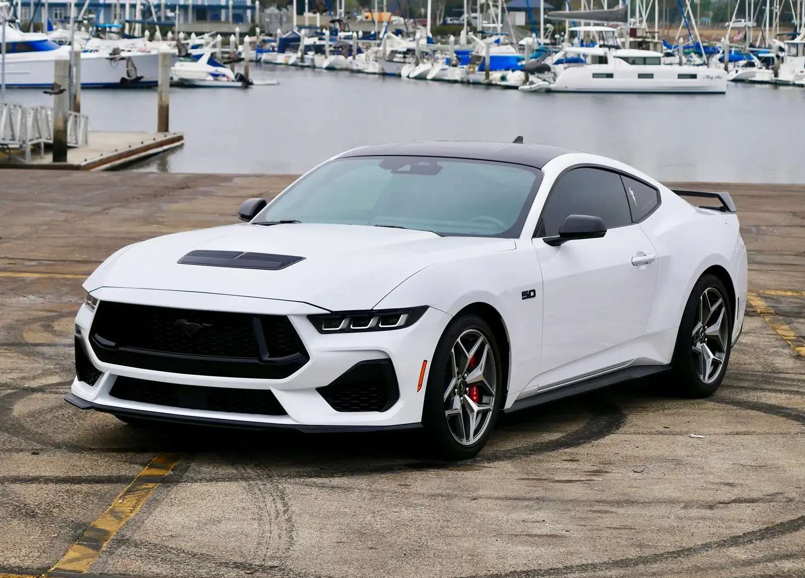 More exterior mods! Painted roof, spoiler, mirrors | Mustang7G - 2024 ...